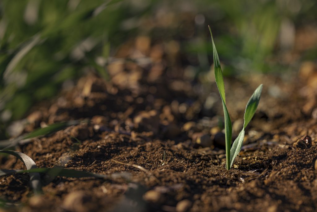 CSBP Flexi-N - For Flexible, Precise and Efficient Nitrogen Application